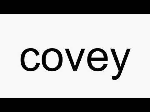 How to pronounce covey