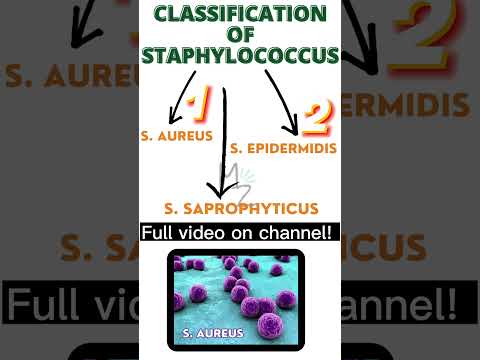 Classification of Staphylococcus (aureus, epidermidis, saprophyticus) #bacteriology #staphylococcus