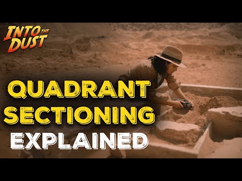 What Is Quadrant Sectioning and Why Is It Important