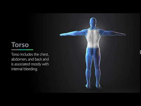The Torso