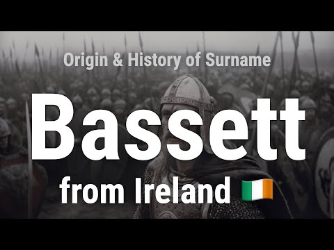 Bassett from Ireland 🇮🇪 - Meaning, Origin, History & Migration Routes of Surname