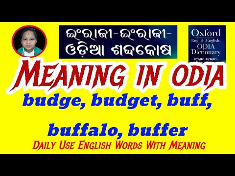budge, budget, buff, buffalo, buffer Meaning In Odia | Daily Use English Words With Meaning In Odia