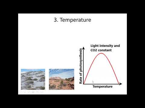 Y10: Factors affecting photosynthesis