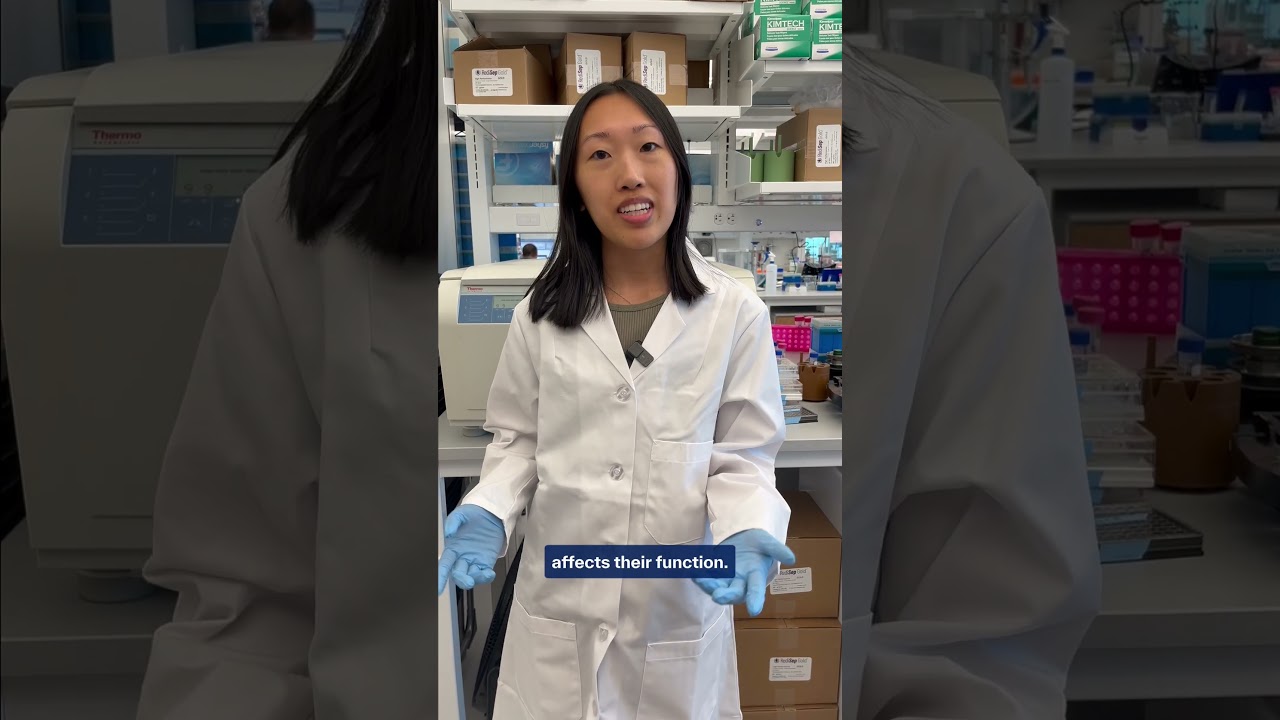 Lipid nanoparticle breakthrough | Penn Engineering