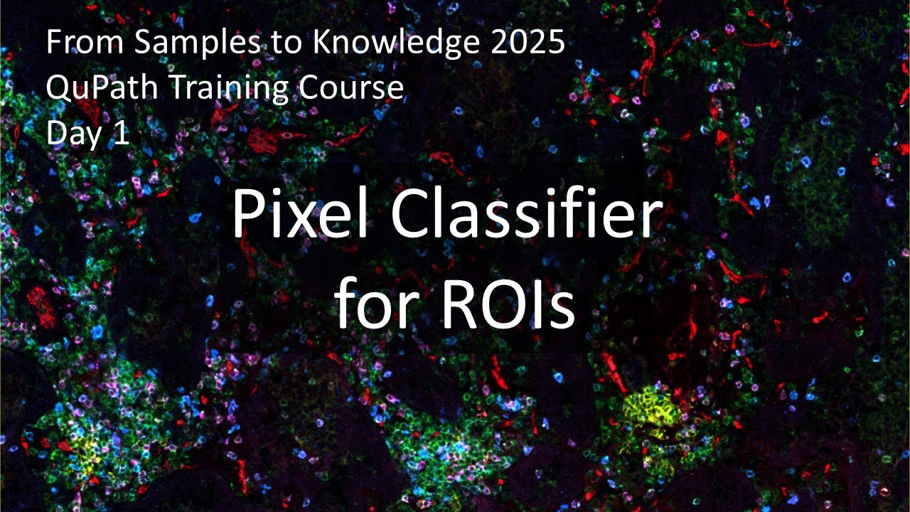 Advanced Pixel Classification and Segmentation in QuPath