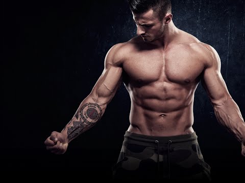 Adonis Golden Ratio | Healthy Things to Know