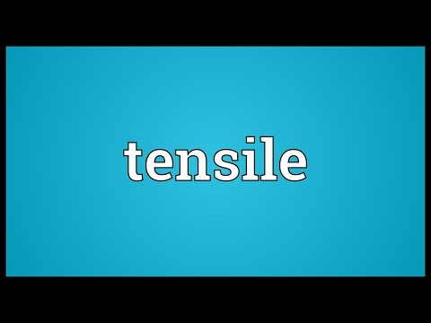 Tensile Meaning