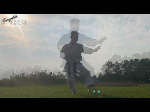 Shitoryu Karatedo by A.Tanzadeh, 8th Dan, Kyoshi