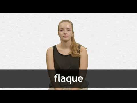 English Translation of “FLAQUE” | Collins French-English Dictionary