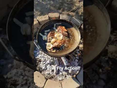 Mojarra Fritas. Fried Fish Cookout!!