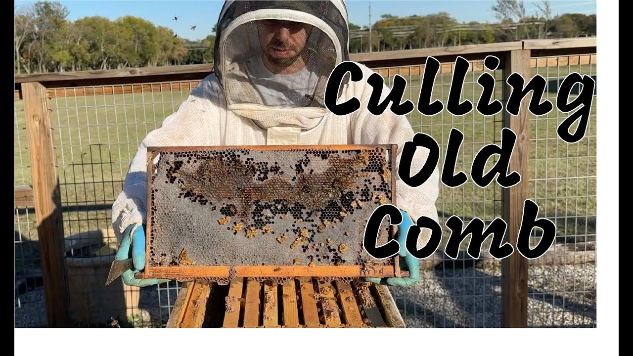 How to Remove Old Frames in a Hive