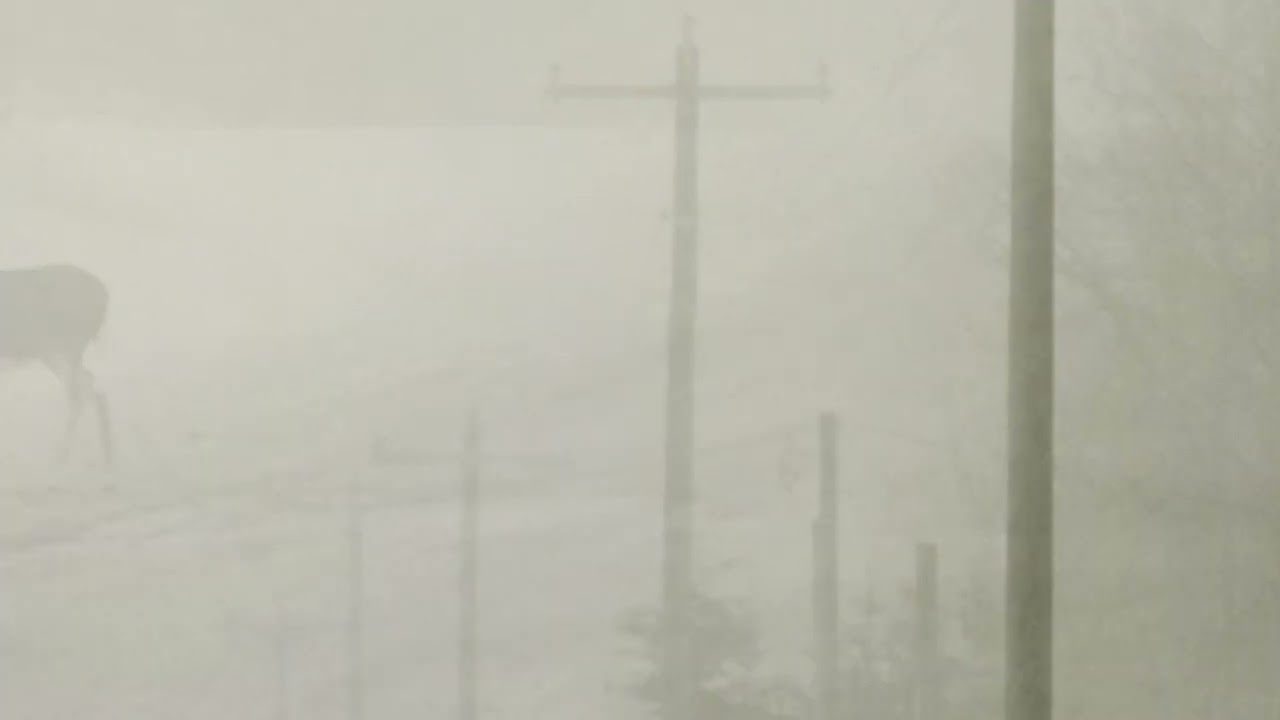 Alpha Classics | Outhere Music