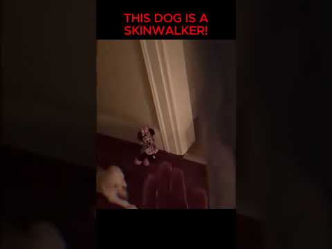She Outsmart a SKINWALKER #urbanlegend #scary #skinwalker