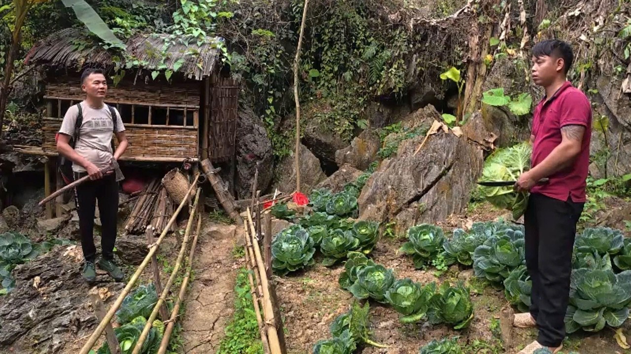 The previous owner of the house where Tran Cong is living has arrived. What will happen next?