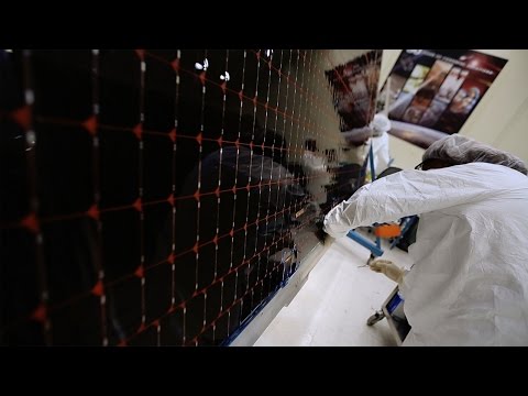 The Blue Power: Stelzer Motor im Vergleich zu den heutigen Krücken