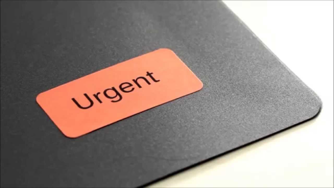 Avery Removable Colour Labels Demo