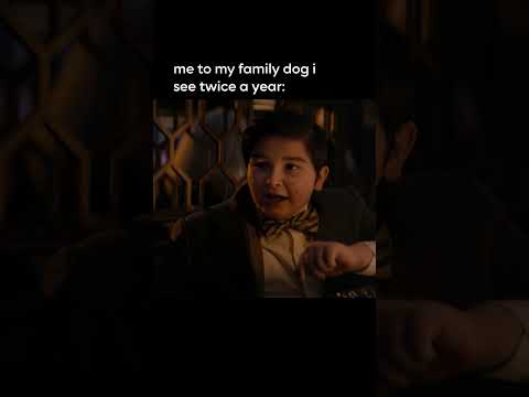 Counting down when I'll see my family dog again.