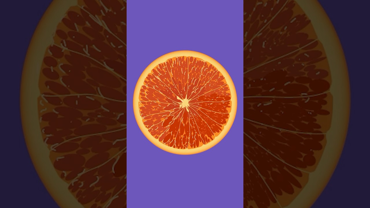 Drawing an orange slice vector in illustrator #vectorart