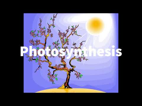 How to Pronounce Photosynthesis in English