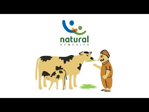 A healthy Uterine tonic for dairy cows - Explainer Video