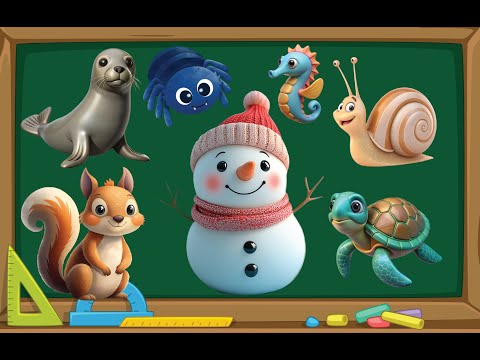 Letter - S - Learn Things and Animals that begin with Letter S - Nursery Kids and Children - English