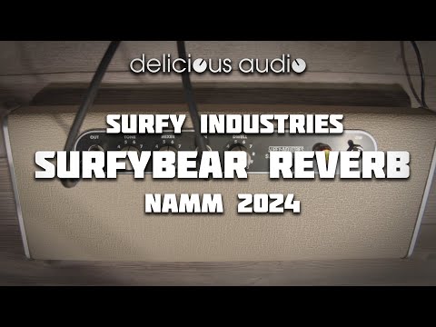 Surfy Industries SurfyBear Classic Spring Reverb Pedal 3.0 | Reverb