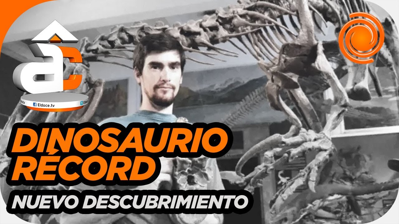 Otro gigante argentino: encuentran restos de un dinosaurio megaraptor récord en El Calafate