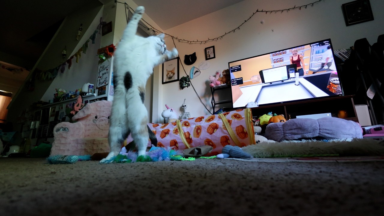 She's an acrobat