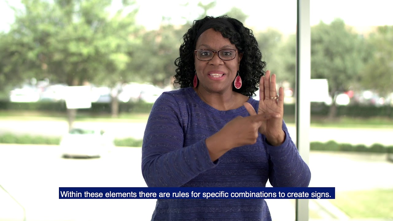 Why isnt there a universal sign language?