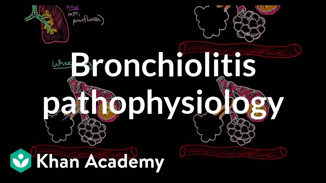 Bronchiolitis pathophysiology | Respiratory system diseases | NCLEX-RN | Khan Academy