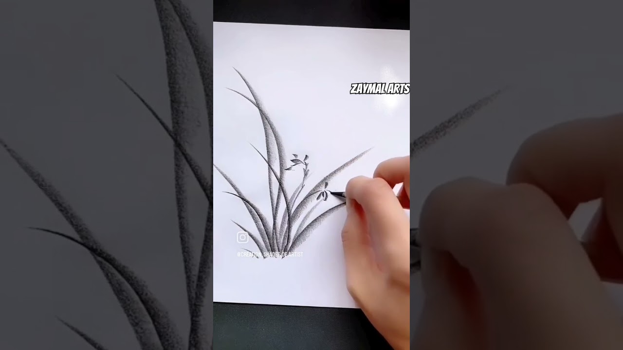 A#zaymalarts  :)@###