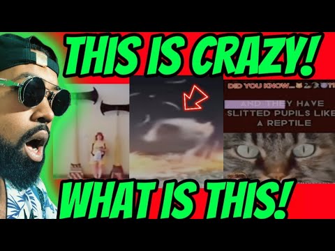Most Disturbing Videos Breaking The Internet Today!