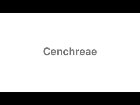 How to Pronounce "Cenchreae"