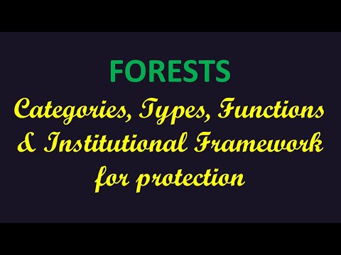 Forest categories, types, functions and institutional framework for protection