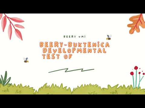 Beery Buktenica Developmental Test of Visual Motor Integration