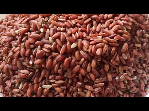 Red Rice - Wholesale Price & Mandi Rate for Indian Red Rice