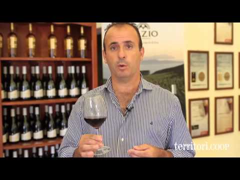 Come gustare il Nero d'Avola della Casa Vinicola Fazio