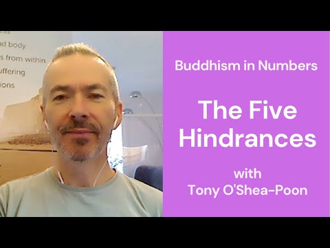 Buddhism in Numbers - The Five Hindrances