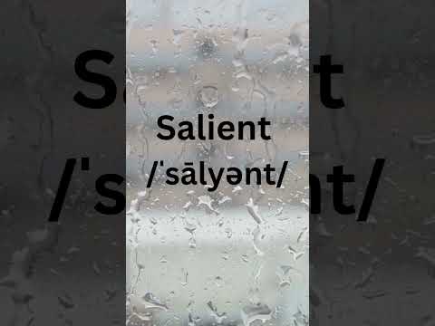 WORD OF THE DAY - Salient (Definition) #asmrshorts #wotd #learnenglish #vocabulary #shorts
