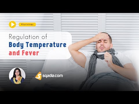 Regulation of Body Temperature and Fever | Human Video Physiology Lecture | V-Learning
