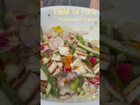 Grilled halloumi salad recipe 👀