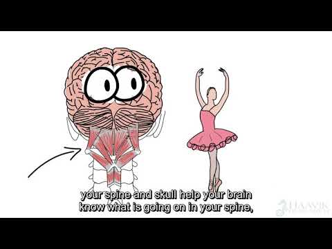 What is Proprioception?