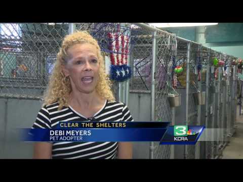 NorCal SPCA volunteers want to help you find your new pet