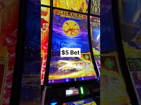 Playing this new game is fun! #slots