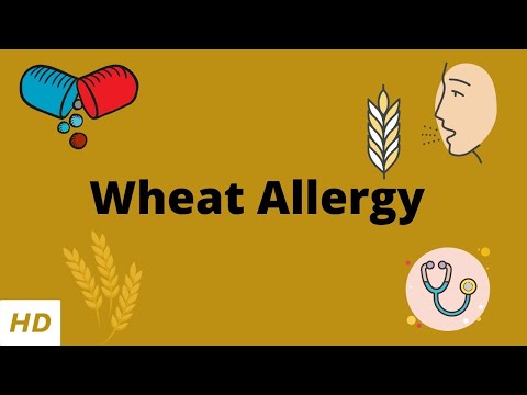 Wheat Allergy, Causes, Signs and Symptoms, Diagnosis and Treatment.