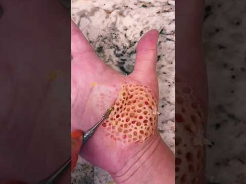 This video makes you feel trypophobia ???????? #sfx #sfx_makeup #youtubeshorts #makeup #shorts