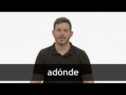 English Translation of “ADÓNDE” | Collins Spanish-English Dictionary