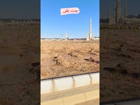 jannat Baki //Madina Sharif//Madina munawara//jannat Baki//haaj 2024 #viral #hajj2024 #newvideo