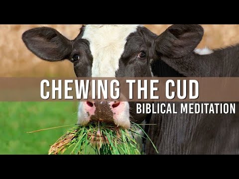Chewing the cud. | Why Biblical meditation is so important! - Pastor Jim Hahn