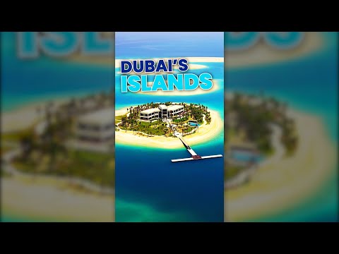 How The Palm Islands Were Built #shorts